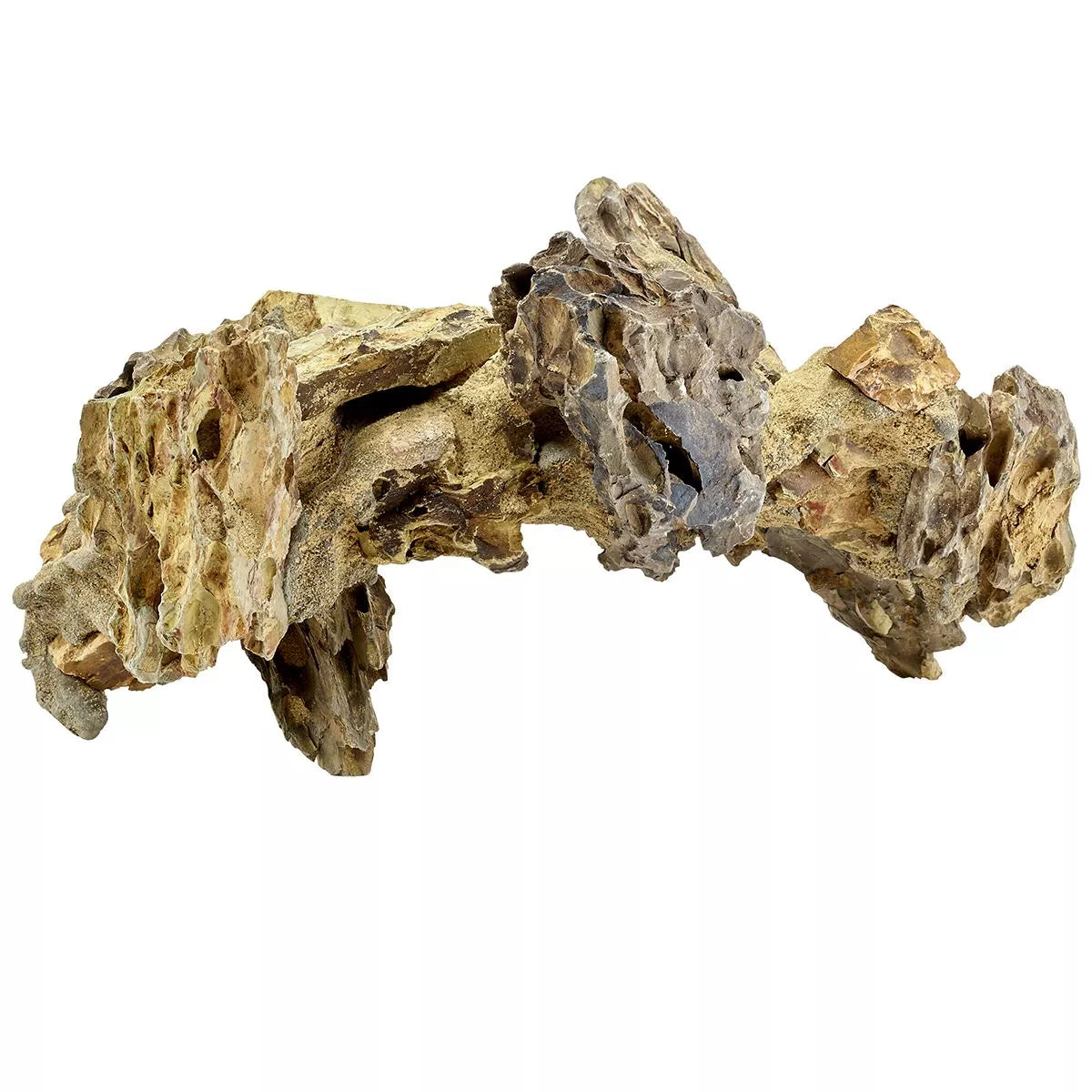 CARIBSEA Dragon Stone Arches - West Warwick, RI - Fall River, MA - Fish ...