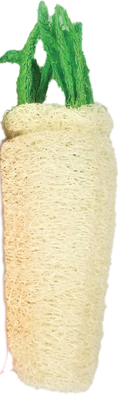 A&E Cage Loofah Daikon Small Animal Toy (Large) - West Warwick, RI ...