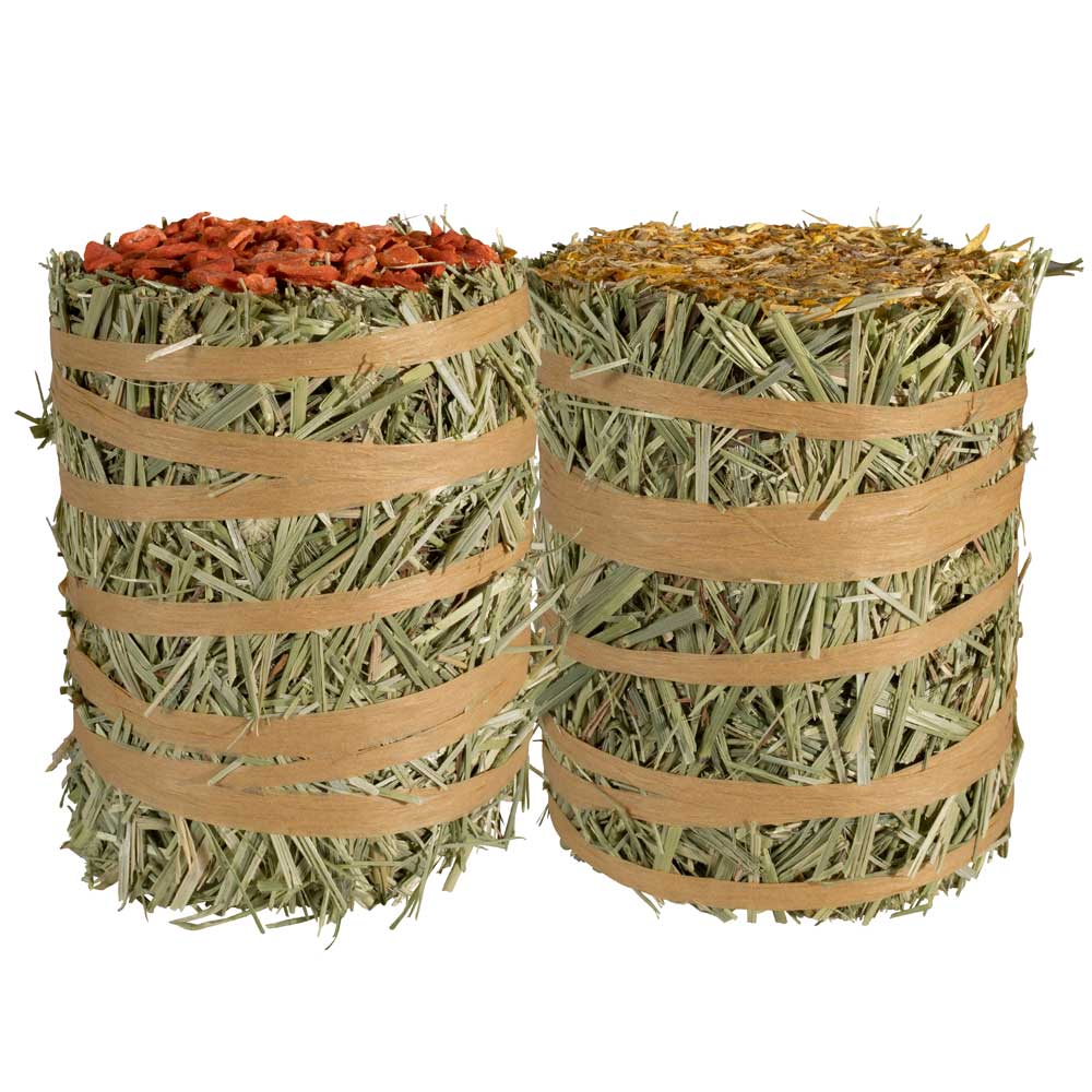 Kaytee Field+Forest Mini Hay Bale Carrot & Marigold (7 oz / 2 Pack ...