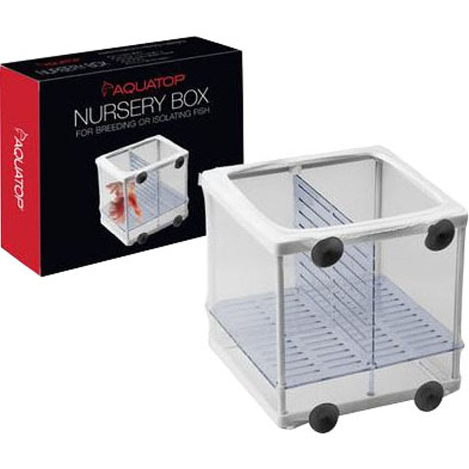 Aquatop Aquarium Nursery Box - West Warwick, RI - Fall River, MA - Fish ...