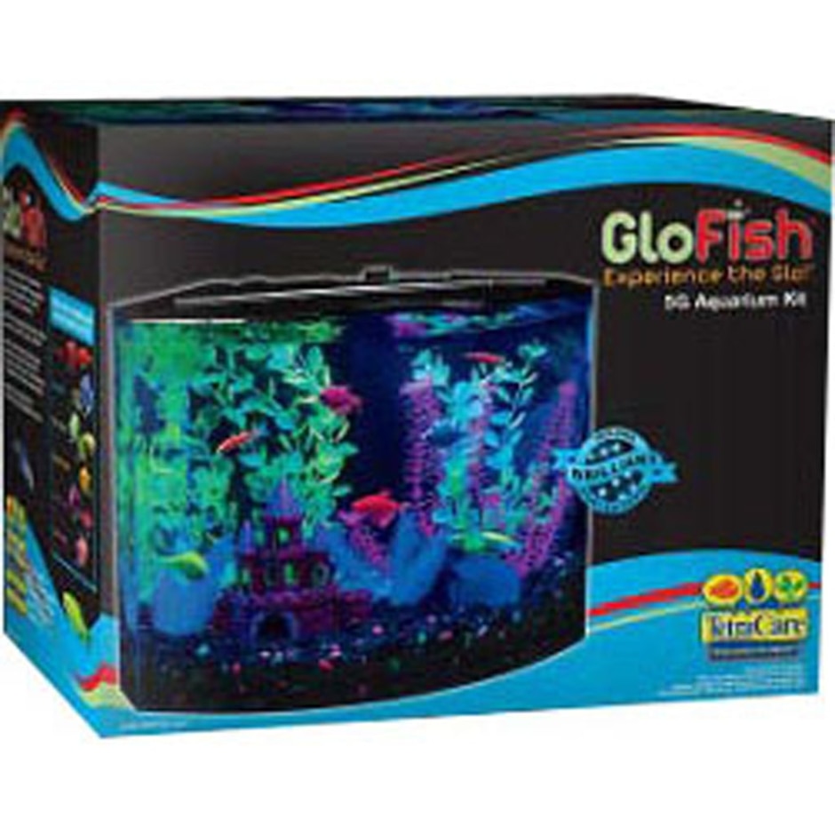 GLOFISH AQUARIUM KIT - West Warwick, RI - Fall River, MA - Fish Bowl ...