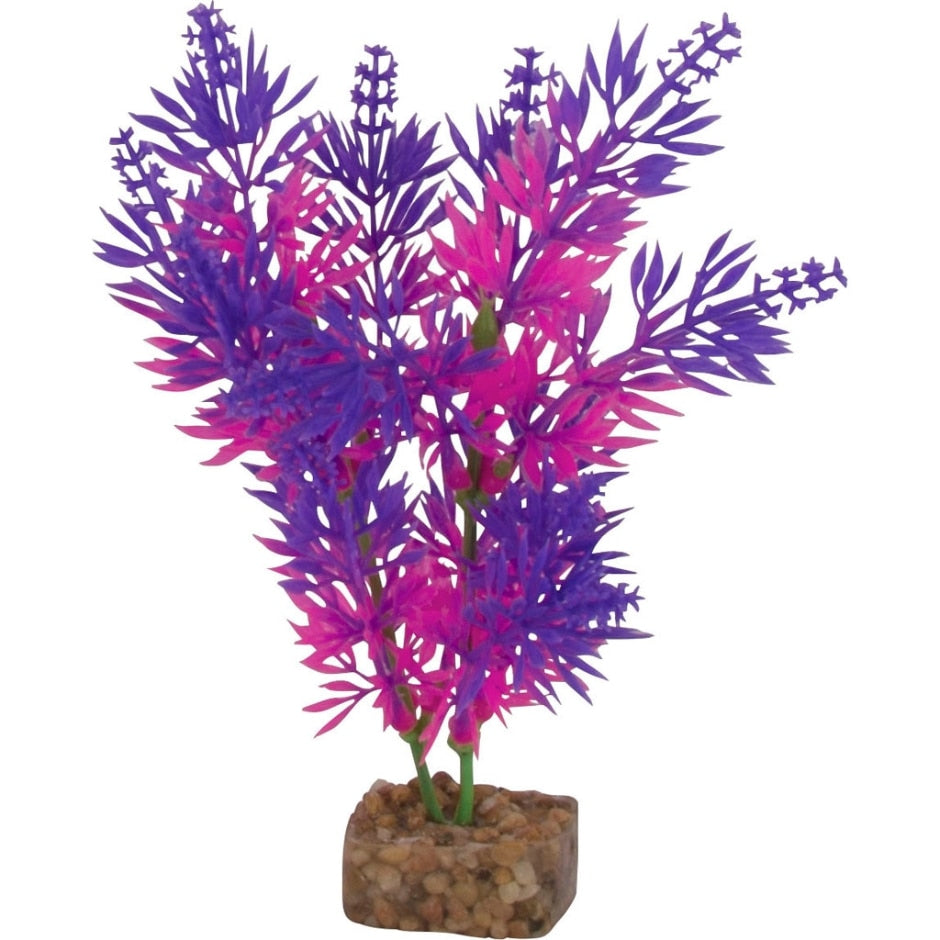 GLOFISH CYCLE LIGHT PLANT - West Warwick, RI - Fall River, MA - Fish ...