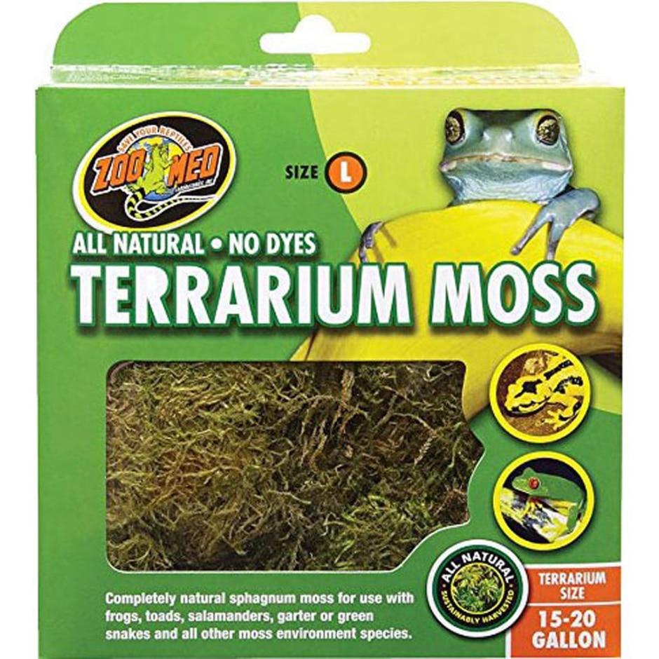 TERRARIUM MOSS - West Warwick, RI - Fall River, MA - Fish Bowl Aquarium ...