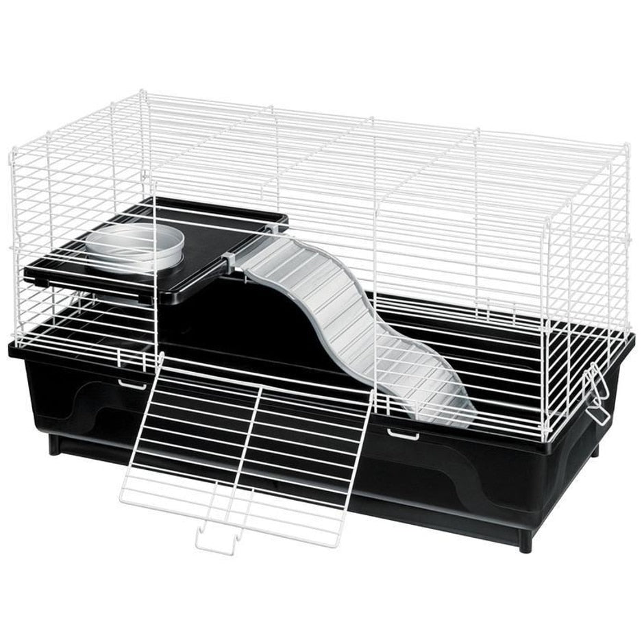 Kaytee My First Home Habitat for Pet Rats - West Warwick, RI - Fall ...
