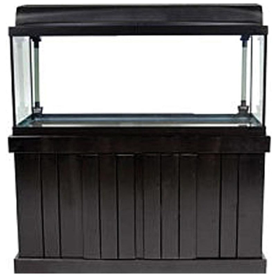 Fish - West Warwick, RI - Fall River, MA - Fish Bowl Aquarium & Pet Mart