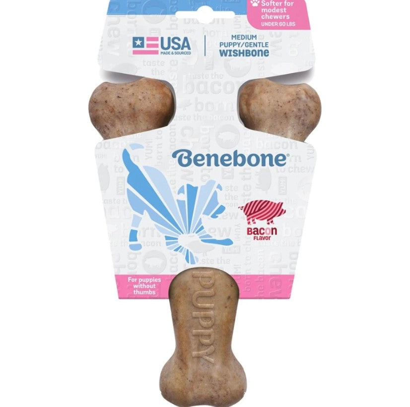 Benebone Wishbone Puppy - West Warwick, RI - Fall River, MA - Fish Bowl ...