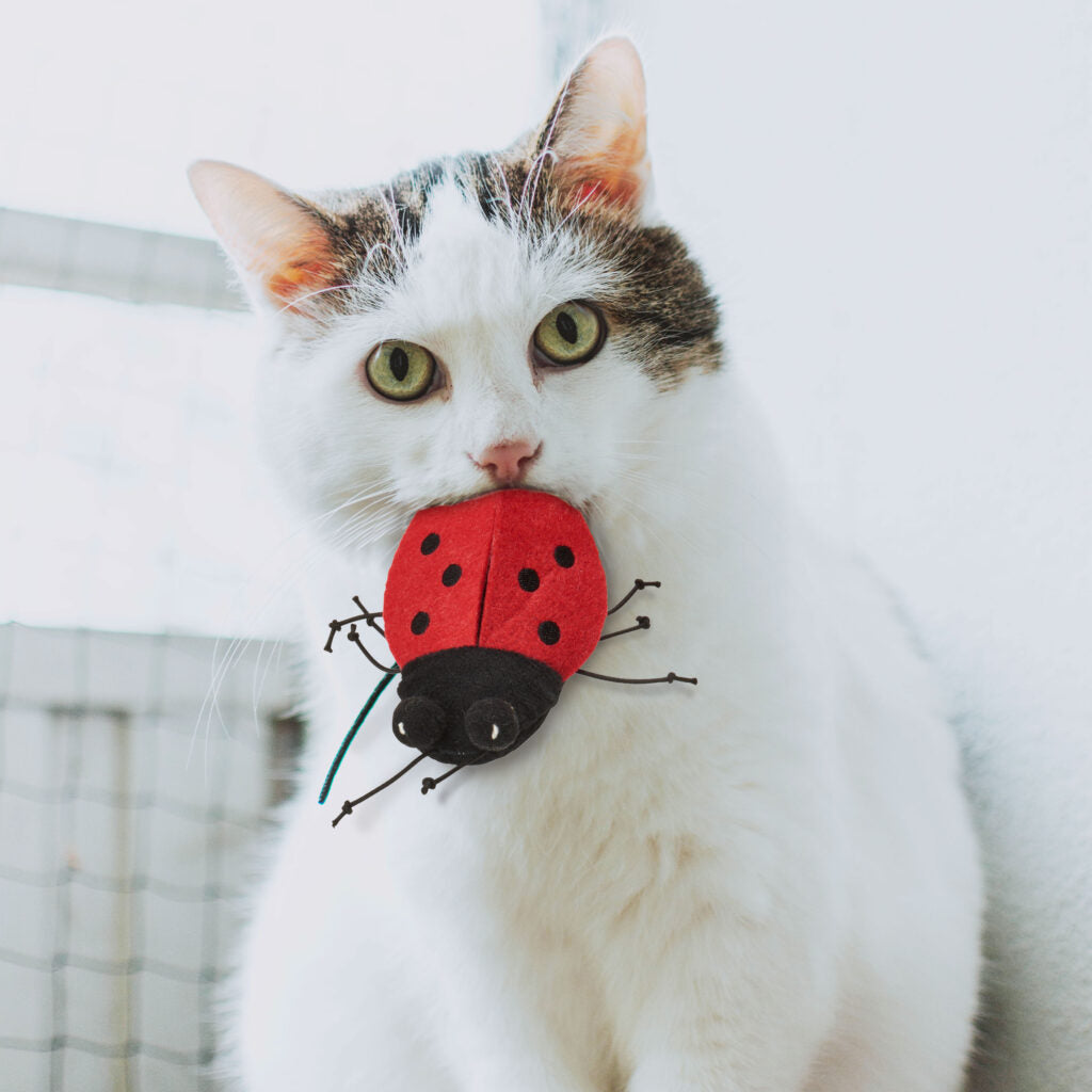 Ethical Pet SPOT Buzzing Insect Cat Toy - West Warwick, RI - Fall River ...