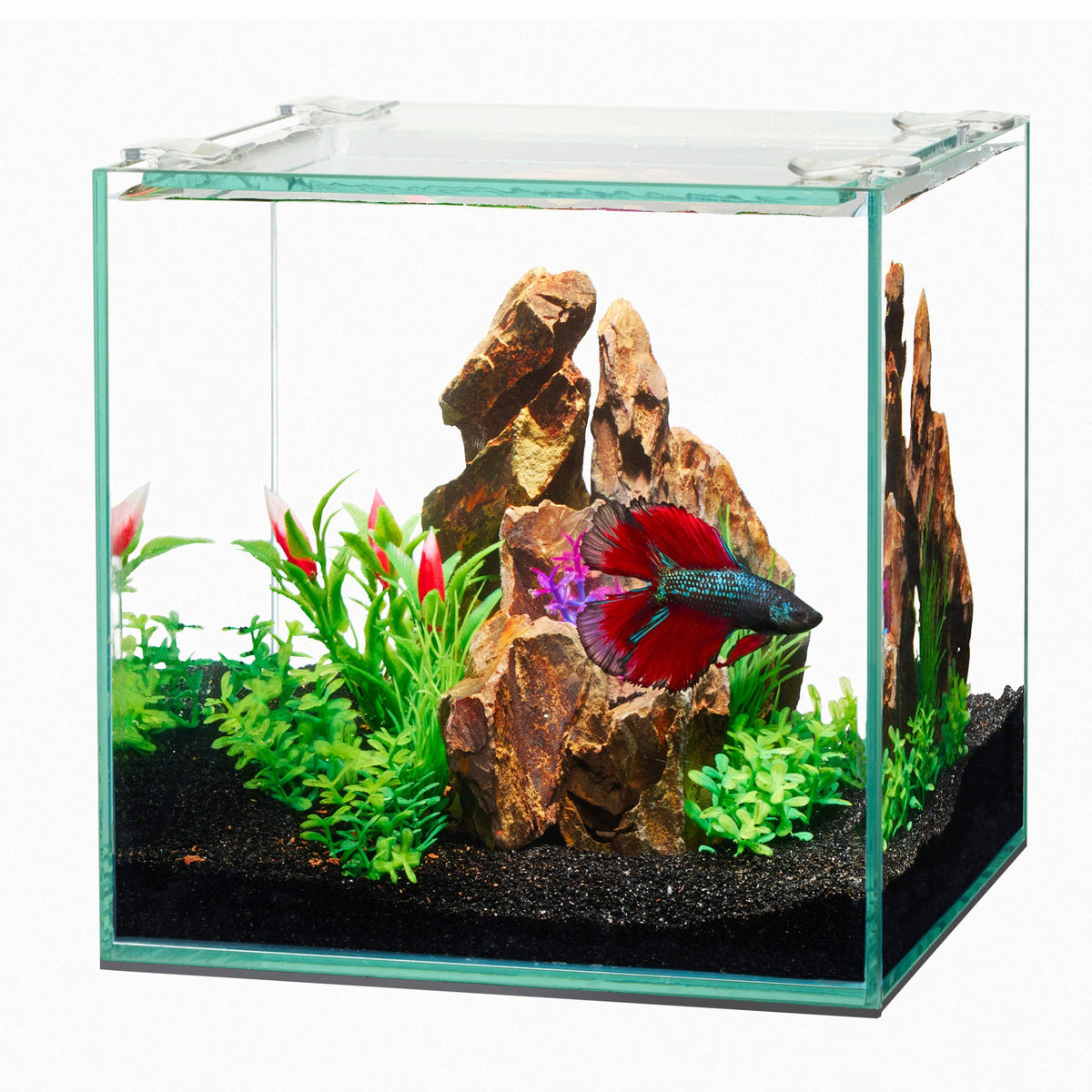 Aqueon Frameless Cube Aquariums - West Warwick, RI - Fall River, MA ...
